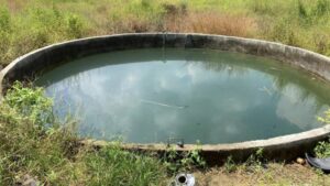 तुकडेबंदी कायद्यात सुधारणा, गुंठ्यांमध्ये जमीन खरेदी-विक्रीची प्रक्रिया कशी असेल? | Tukde Bandi ...